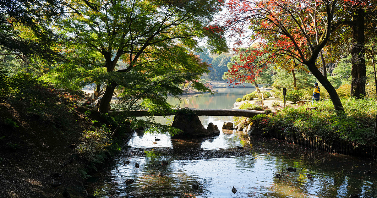Tokyo’s Lush Green Spaces and the Zen of “Bleisure” | Wellness | Tokyo ...