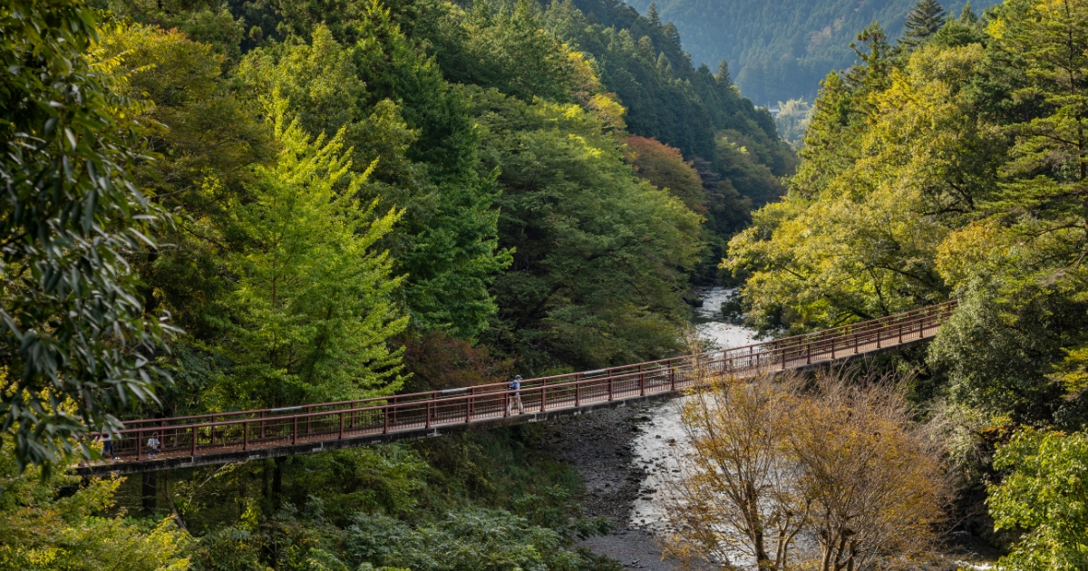 Let’s Travel Sustainably in Tokyo! | SUSTAINABILITY | Tokyo Tokyo ...