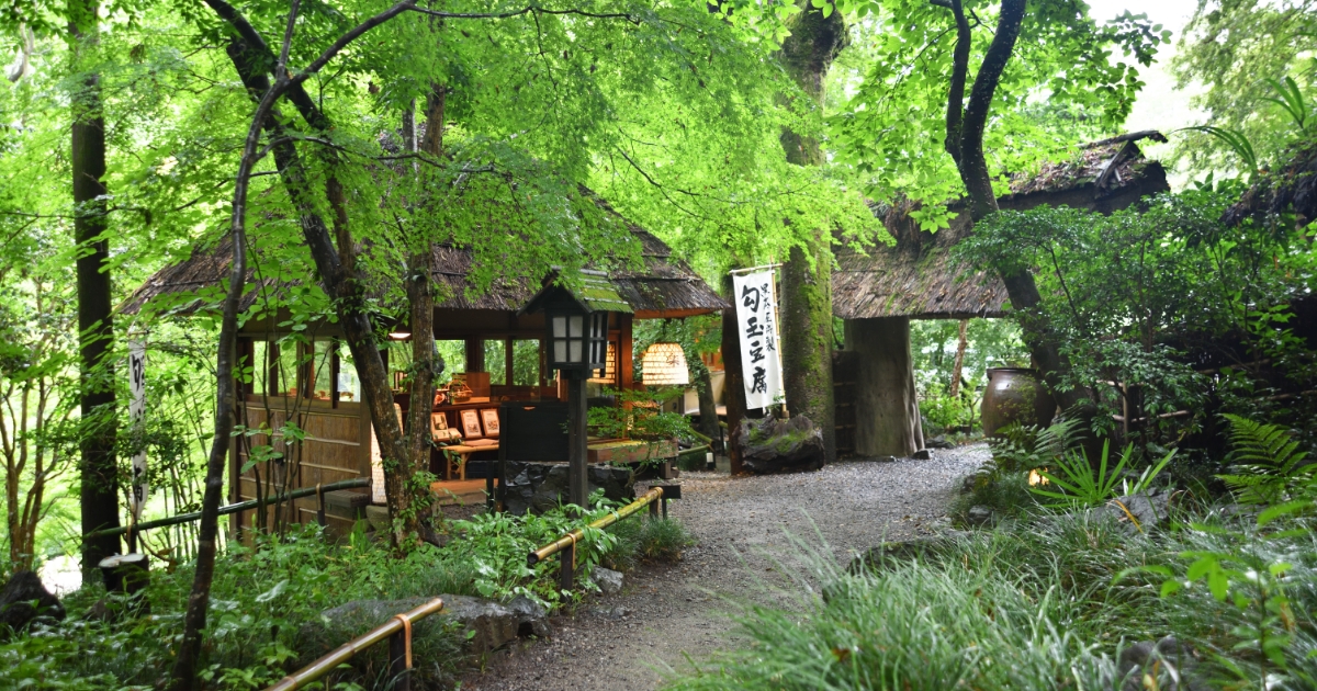 The Green Side of Tokyo: Stunning Landscapes and Sustainable Food ...